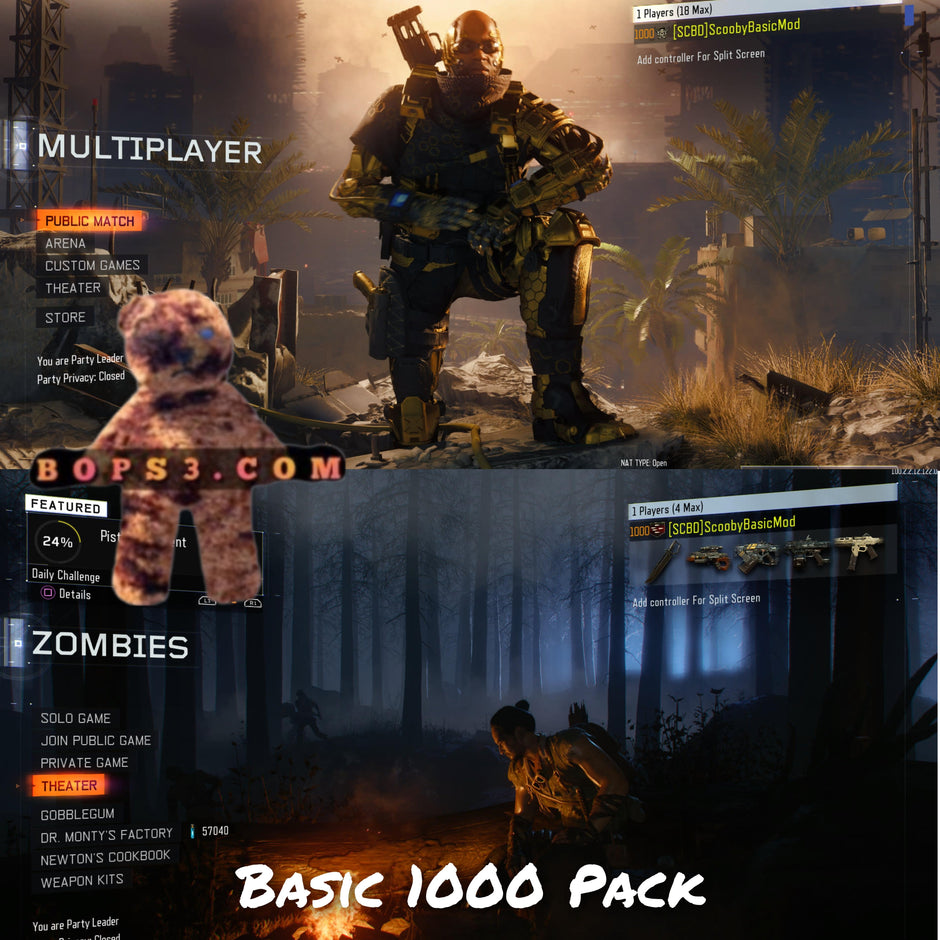 Bops3 Mods Services – Bops3 Mods Store